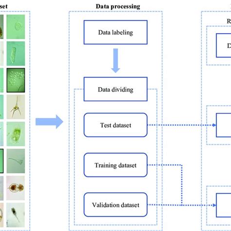 The Flowchart Of Sem Rcnn Download Scientific Diagram