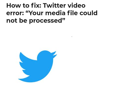 How To Fix Twitter Video Error Your Media File Could Not Be Processed Universal Database
