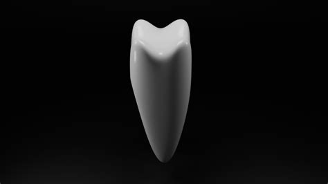 Molar Tooth 3d Model By Aamirarif1990