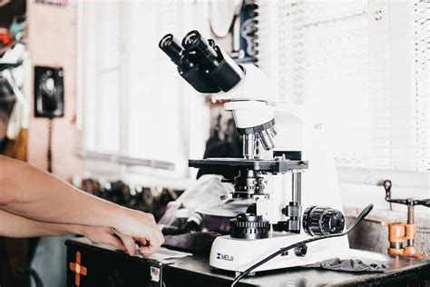 Bright Vs Dark Field Microscope Difference And Comparison