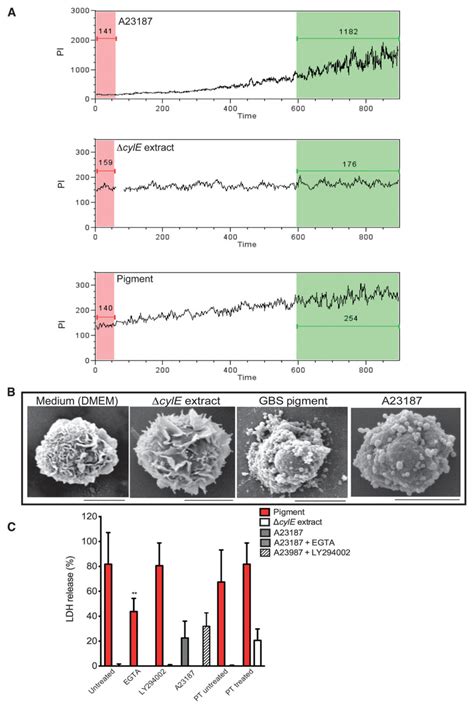 Mast Cell Degranulation By The Gbs Pigment Contributes To Cytotoxicity