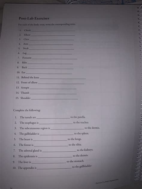 Solved Post Lab Exercises For Each Of The Body Areas Write