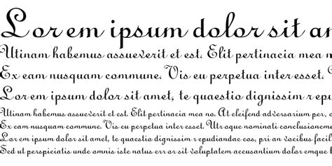 lightscript db font download for free view sample text rating and