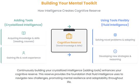 Fluid Vs Crystallized Intelligence Which Is More Important