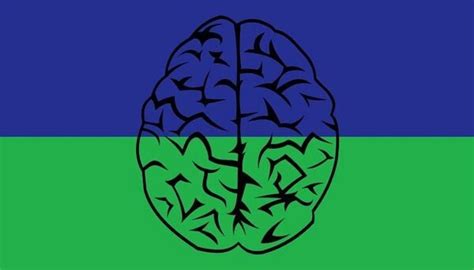 Sapiosexual Lgbtqia Wiki