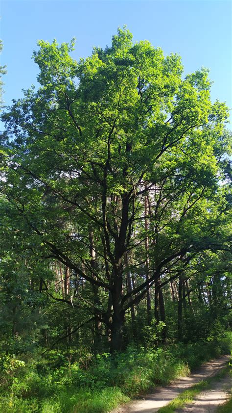 Карта особо охраняемых природных территорий Республики Беларусь Министерство природных