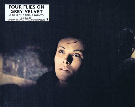 Vintage Four Flies On Grey Velvet Front Of House Lobby Card