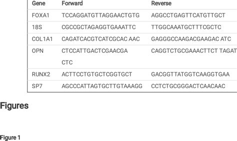 Sequences Of Primers For Real Time Quantitative Pcr Analysis Primer