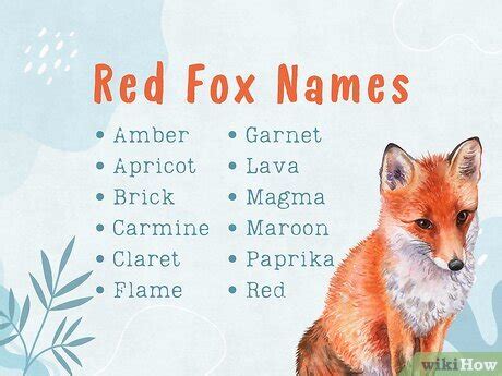 335 Cute Fox Names For Males And Females