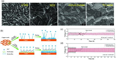 A Sem Of Zn Deposition In Znso4‐based Electrolytes With Additives Of Download Scientific