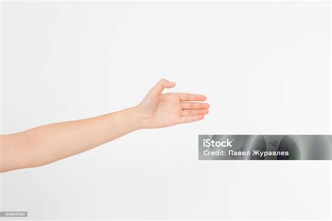 흰색 배경 위에 분리 된 백인 손 제스처로 크기 기호를 표시합니다 아프로 아메리칸 핸드 조롱 공간을 복사합니다 템플릿 빈