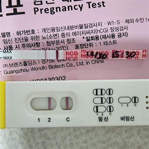 시험관2차 5일배양 동결이식 10일차 11일차 12일차 증상 낮은 피검 임테기 평촌마리아 네이버 블로그