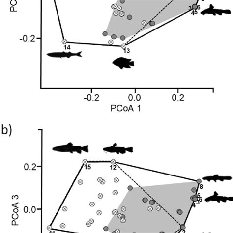 representation of the functional spaces of historical gray area