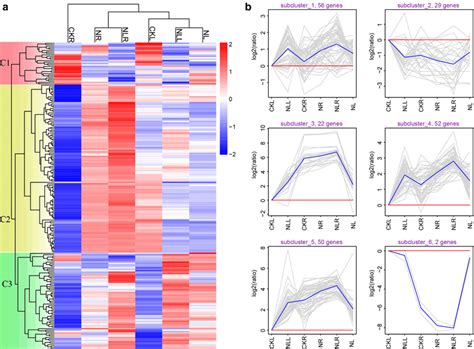Cluster Analysis Of Degs Under Salt Treatment In Pear A Hierarchical