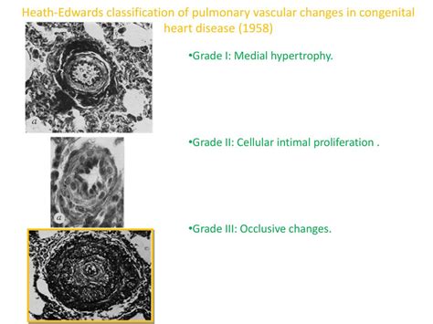 Heath Edwardss Instagram Twitter And Facebook On Idcrawl