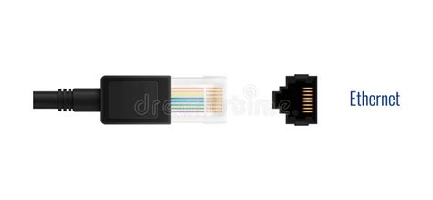 Ethernet Plug Port Composition Stock Vector Illustration Of Computer Speed 211080141