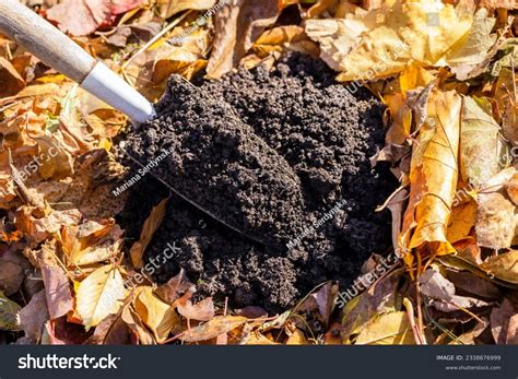 Fall Composting Photos Images And Pictures Shutterstock