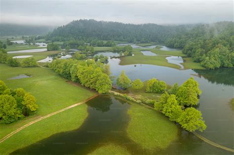 무성한 녹색 나무로 둘러싸인 큰 수역 사진 Unsplash의 나무 이미지