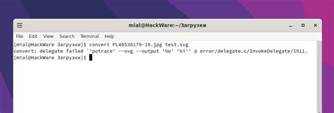 Error Convert Delegate Failed Potrace Svg Output O I Error Delegate C