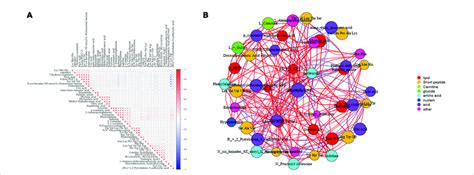 A Correlation Analysis Of The Identified Metabolites Positive