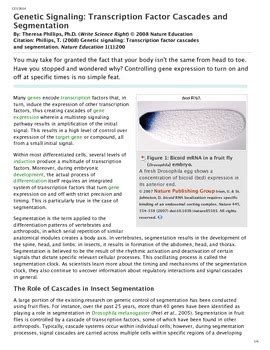 Article For AP Bio Activity Transcription Factor Cascades Segmentation