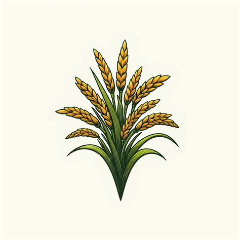 Premium Vector Elegant Bunch Of Paddy Vector Illustration