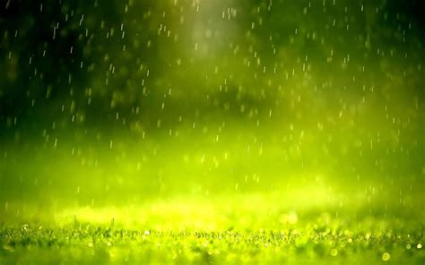 Обои дождь на рабочий стол Картинки обои дождь