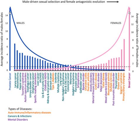 Comparison Of The Incidence Ratios Between Males And Females For Many Download Scientific