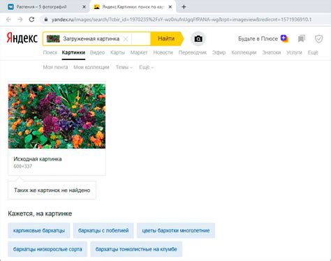 Поиск по фото в Яндексе как найти картинку