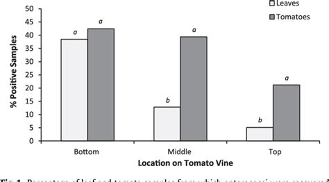 Enterococcus Raffinosus Semantic Scholar