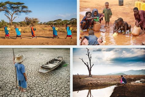 North West University Nwu Diploma And Degree Courses Offered 2024 My Courses