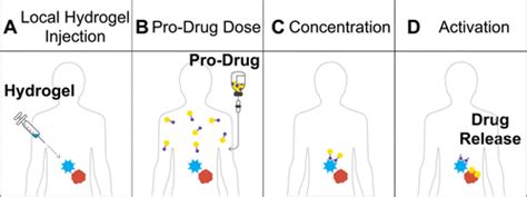 Bioorthogonal And Click Chemistry Curated By Prof Carolyn R Bertozzi 2022 Winner Of The Nobel