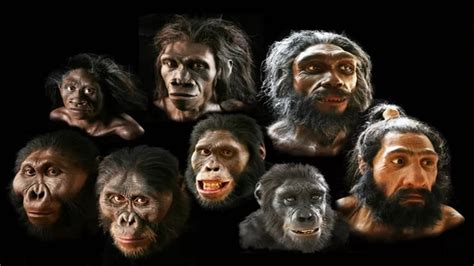 2025 Gposshe Grupo De Pesquisa Ontologia Do Ser Social História