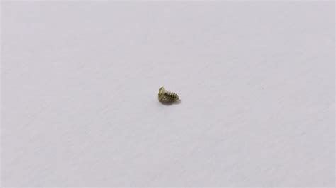 Synthes 1 0 Mm Titanium Cortex Screws Self Tapping With Cruciform Recess Length 2 Mm