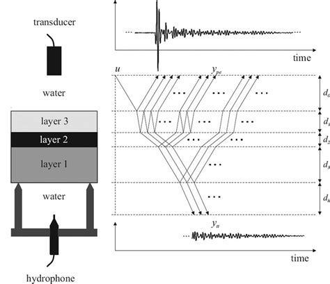 the experimental setup in a pulse echo and through transmission