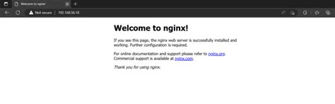 How To Set Up An Nginx Web Server In Ubuntu Virtual Machine Using