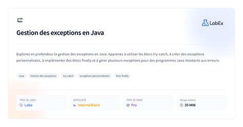 Tutoriel Sur La Gestion Des Exceptions En Java Des Bases Aux