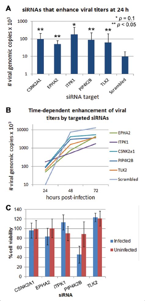 small interfering rna sirna knockdown of kinases resulted in