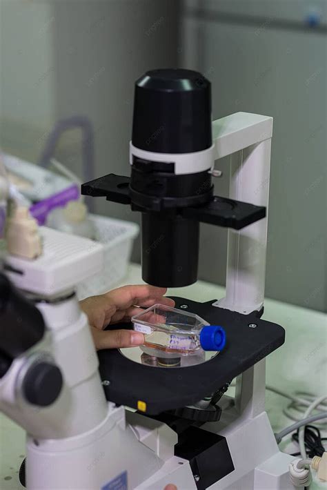 Technician Examining Specimen Under Microscope Magnification Researcher Specimen Photo Technician Examining Specimen Under Microscope Magnification Researcher Specimen Photo