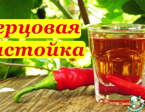 Перцовая настойка с зверобоем – кулинарный рецепт