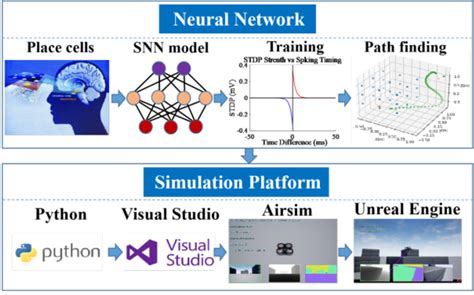 figure 1 from brain inspired path planning algorithms for drones