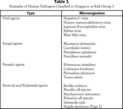 Bsl Requirements At Piper Walton Blog