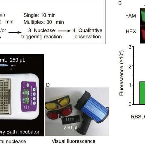 Minimal Time And Instrument Requirements For Field Deployable Multiplex