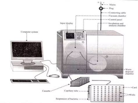 Automated Microbial Identification System Ppt Free Download