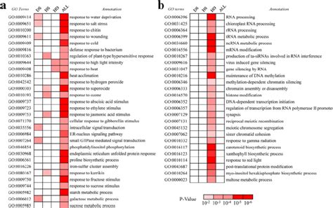 Heat Map Showing The P Value Significance Of Enriched Go Categories For Download Scientific