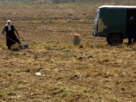 75 000 глоба за Октопод но в земеделието