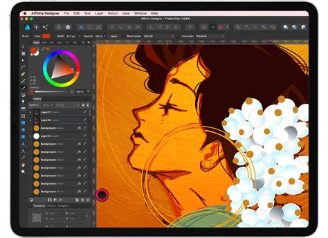 Affinity Designer Tool Silopegm