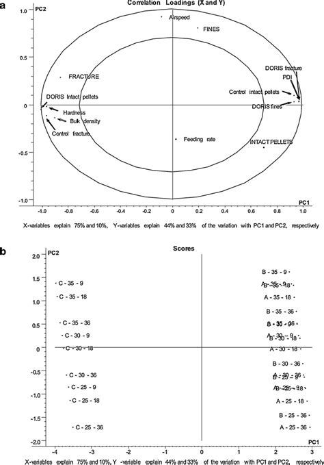 loading and score plots showing the two first principal components pc1