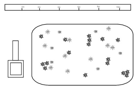 Ecological Sampling Quadrat Transect Interactive Notebook Foldable