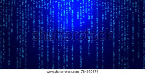 Software Web Developer Programming Code Vector Stock Vector Royalty